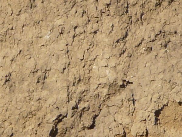 grey brown dirt texture 0052 - Texturelib